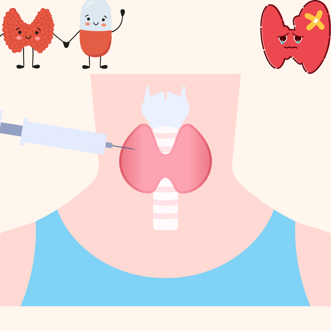 Why Shrimp is healthy for you, especially in easy to eat shrimp powder!